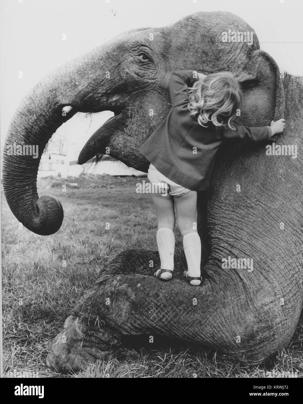 Whisper In Ear Black And White