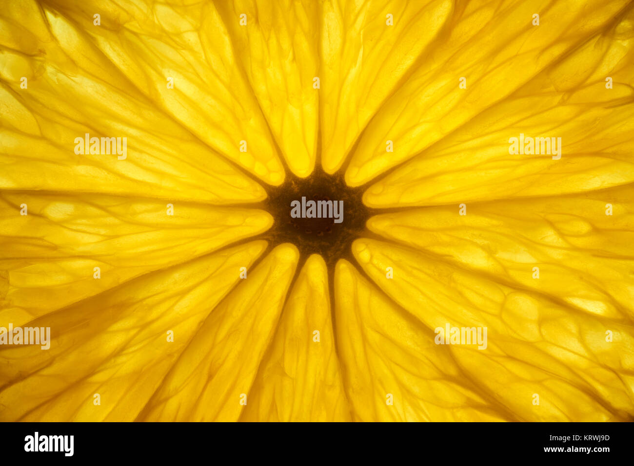 full frame cross section detail of a orange fruit Stock Photo - Alamy