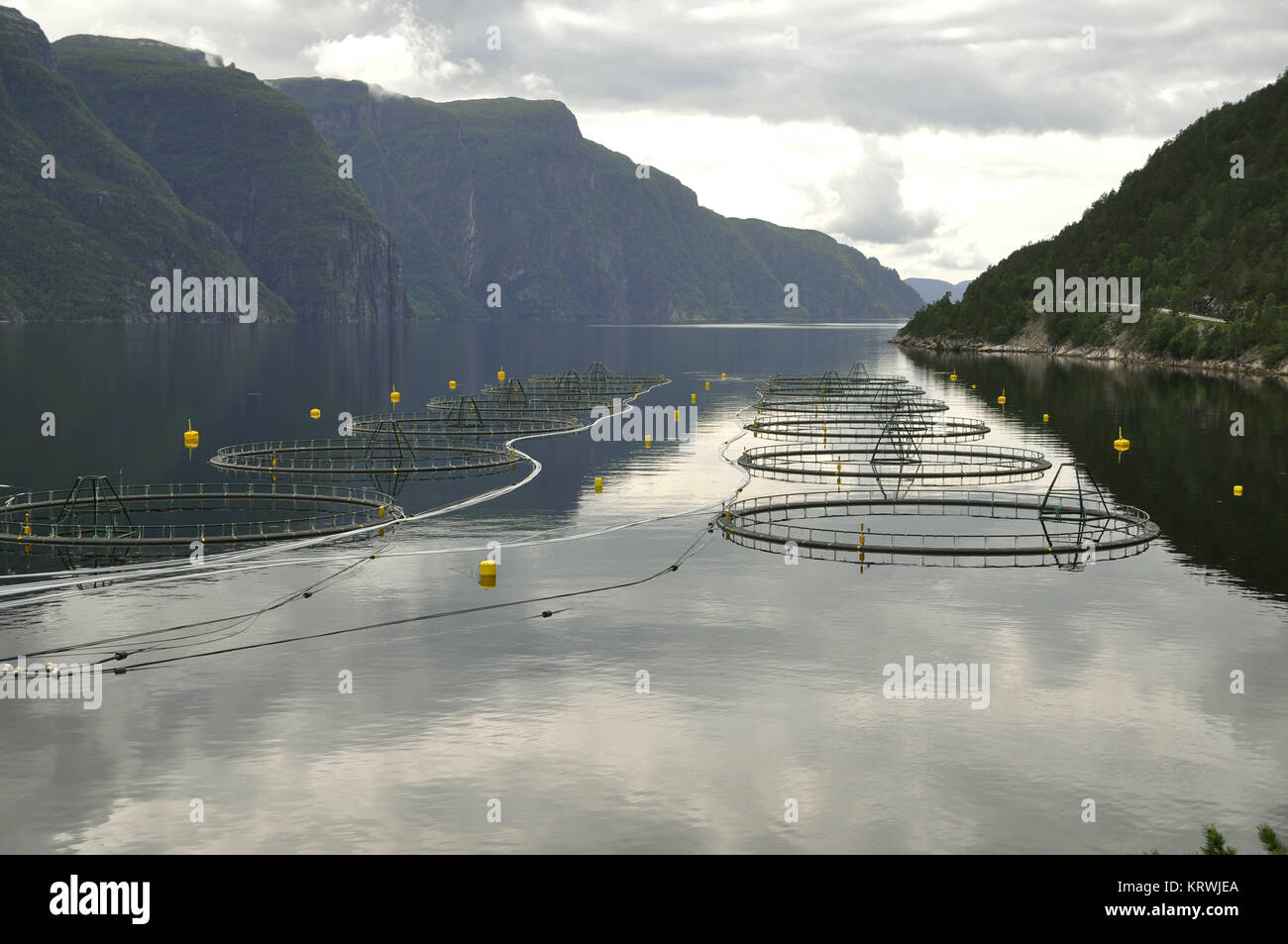 fish farming in the fjord Stock Photo - Alamy