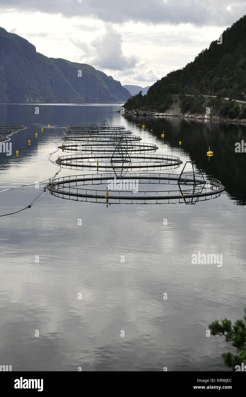 fish farming in the fjord Stock Photo - Alamy
