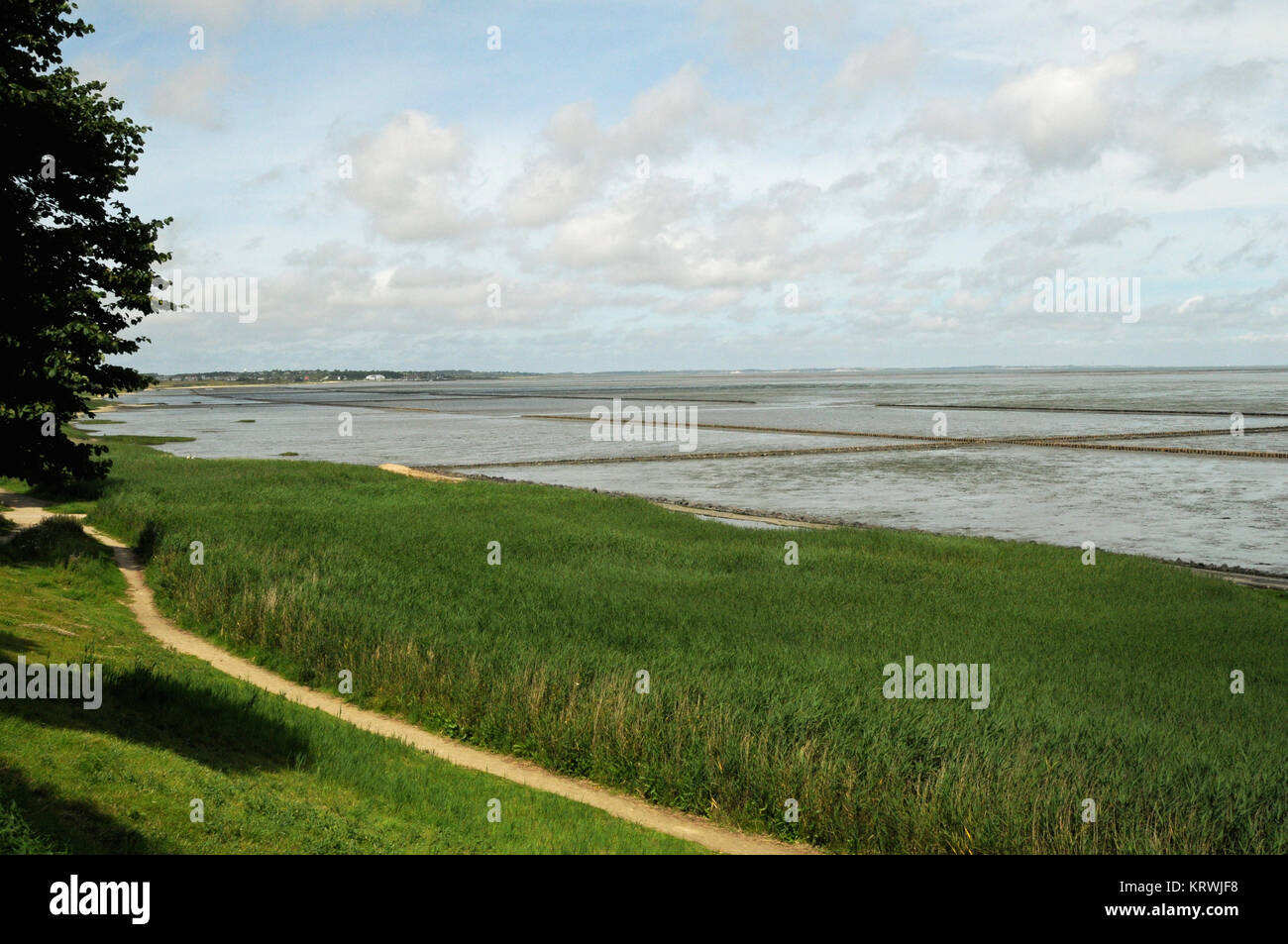 Sylt and mud flats hi-res stock photography and images - Alamy