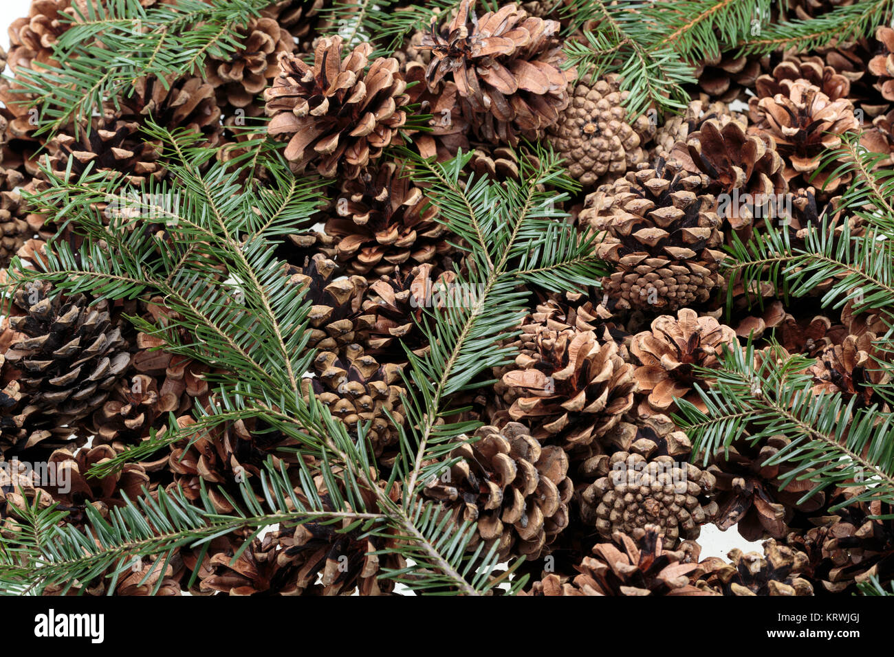 Background of dried natural pine cones Stock Photo - Alamy