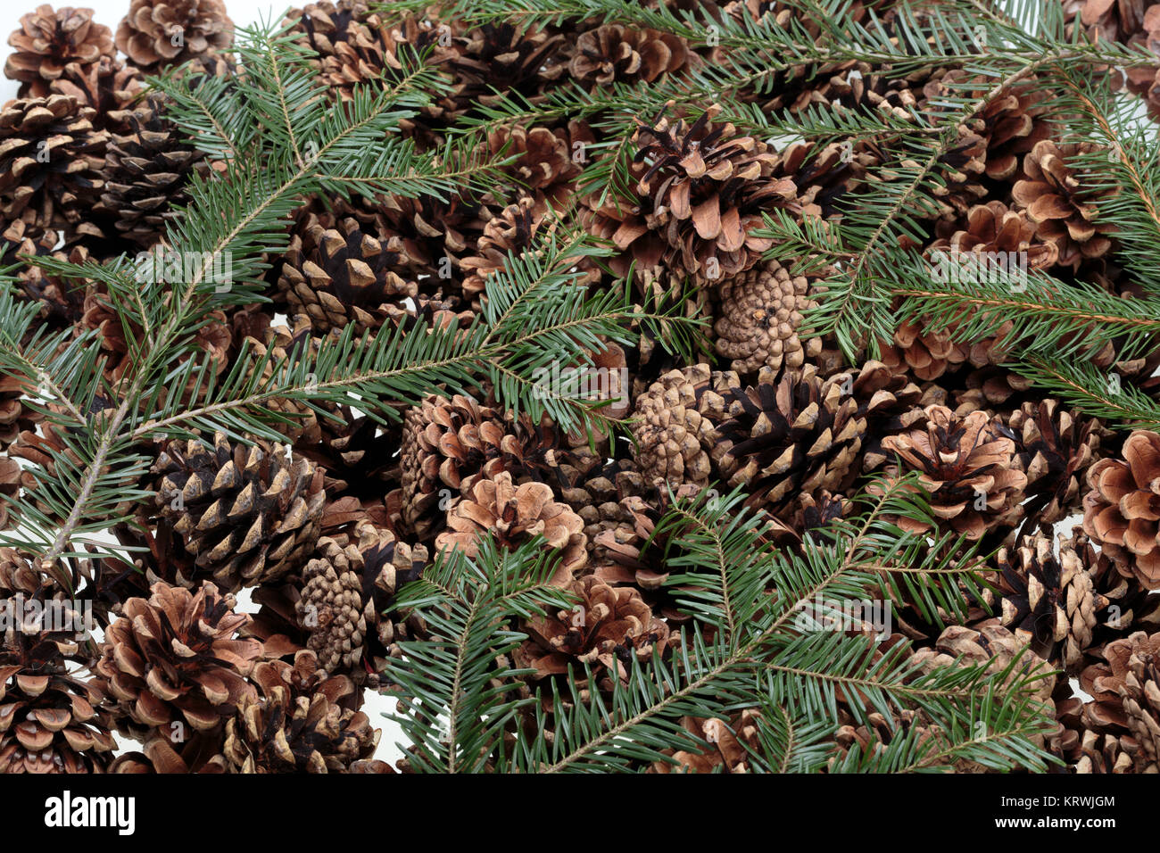 Background of dried natural pine cones Stock Photo - Alamy