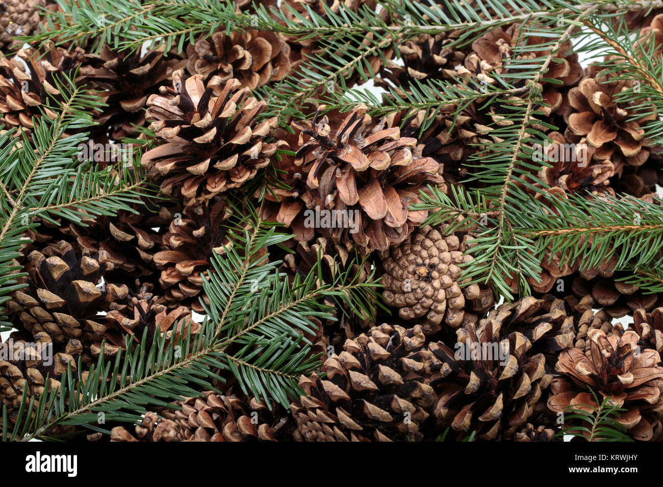 Background of dried natural pine cones Stock Photo - Alamy