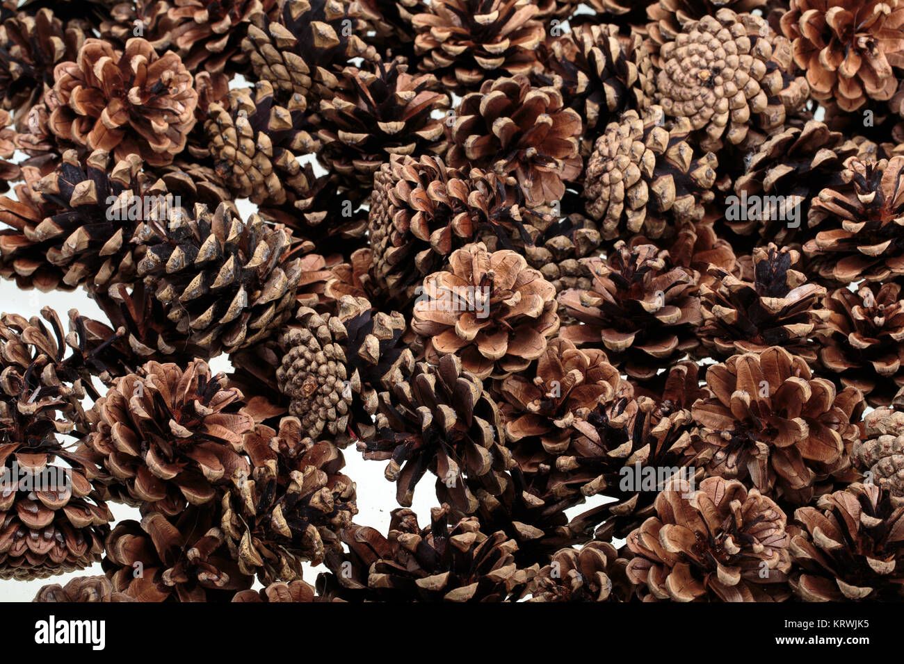 Background of dried natural pine cones Stock Photo - Alamy