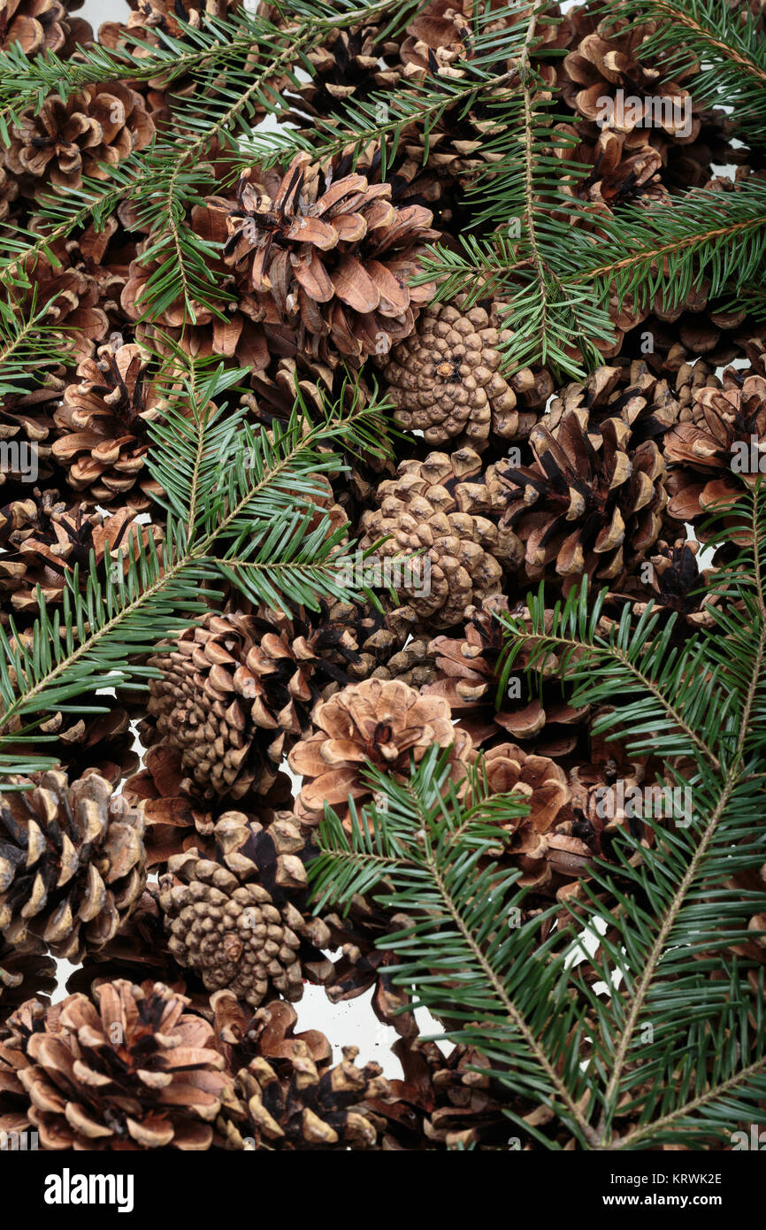 Background of dried natural pine cones Stock Photo - Alamy