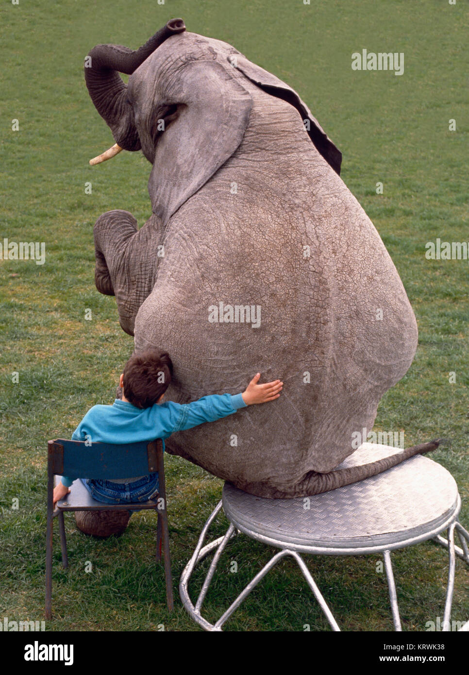 Elephant boy hi-res stock photography and images - Alamy