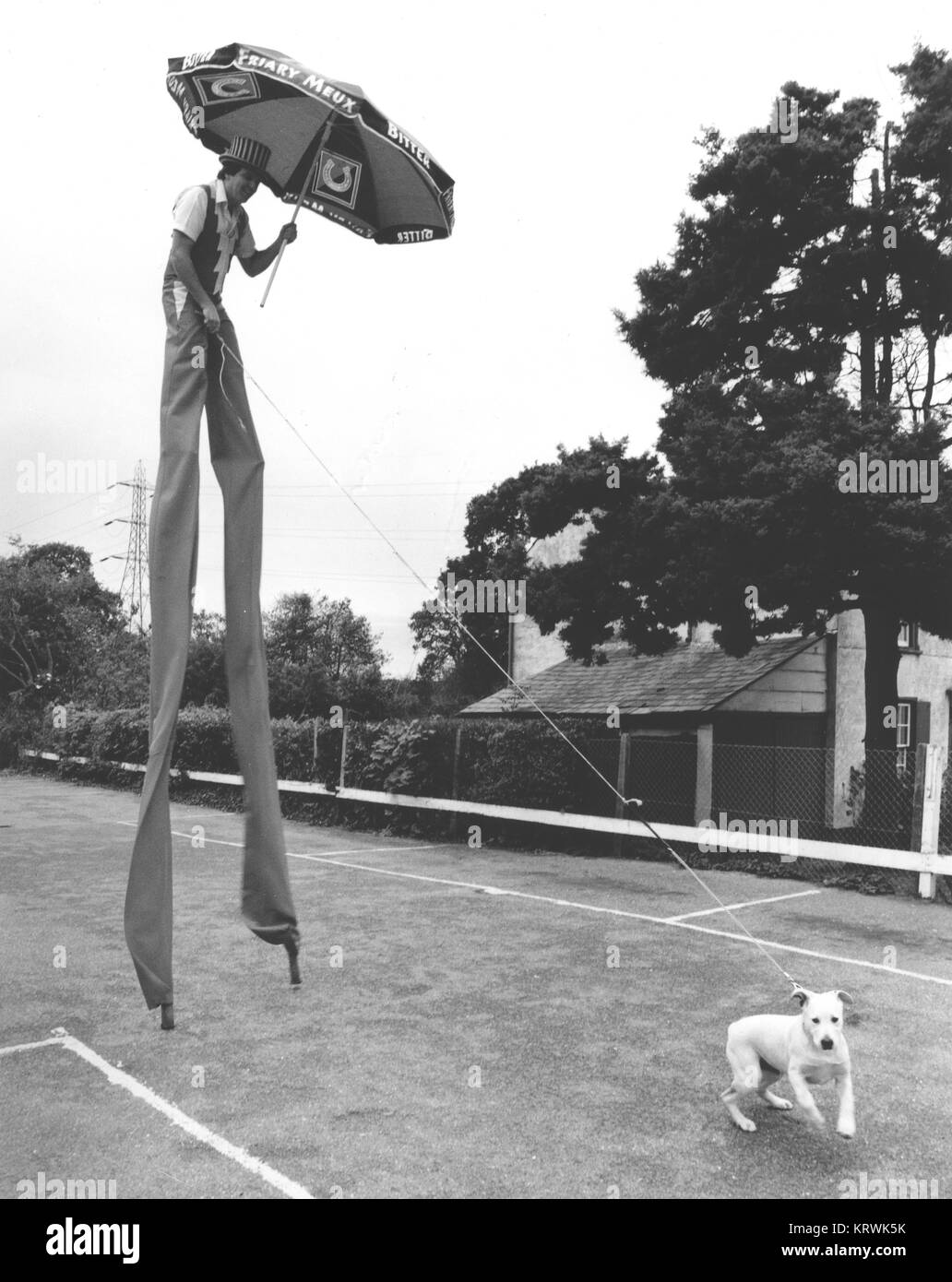 Man on stilts with dog, England, Great Britain Stock Photo - Alamy