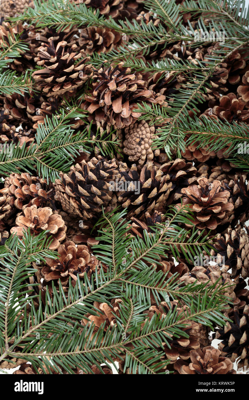 Background of dried natural pine cones Stock Photo - Alamy