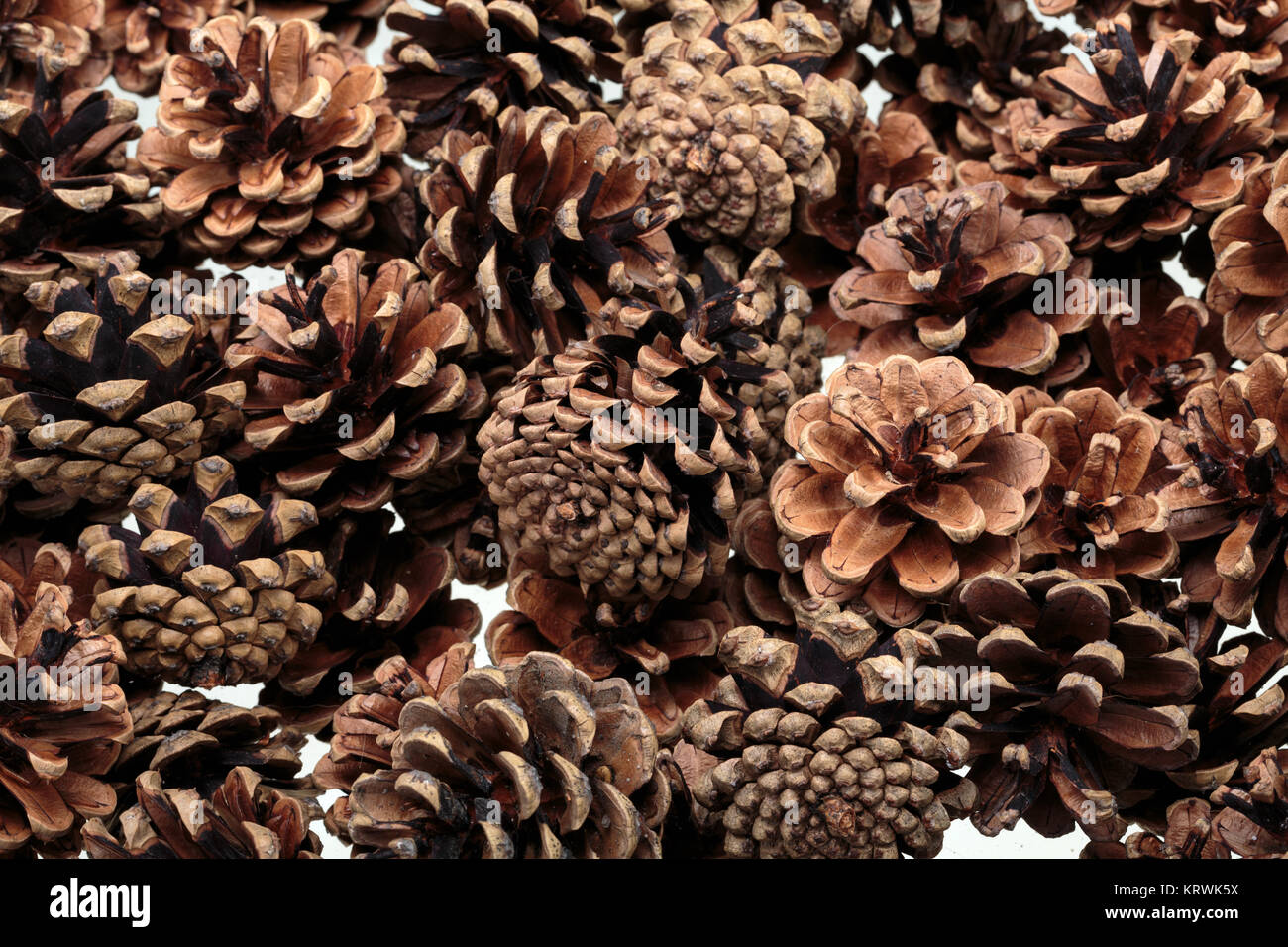 Background of dried natural pine cones Stock Photo - Alamy