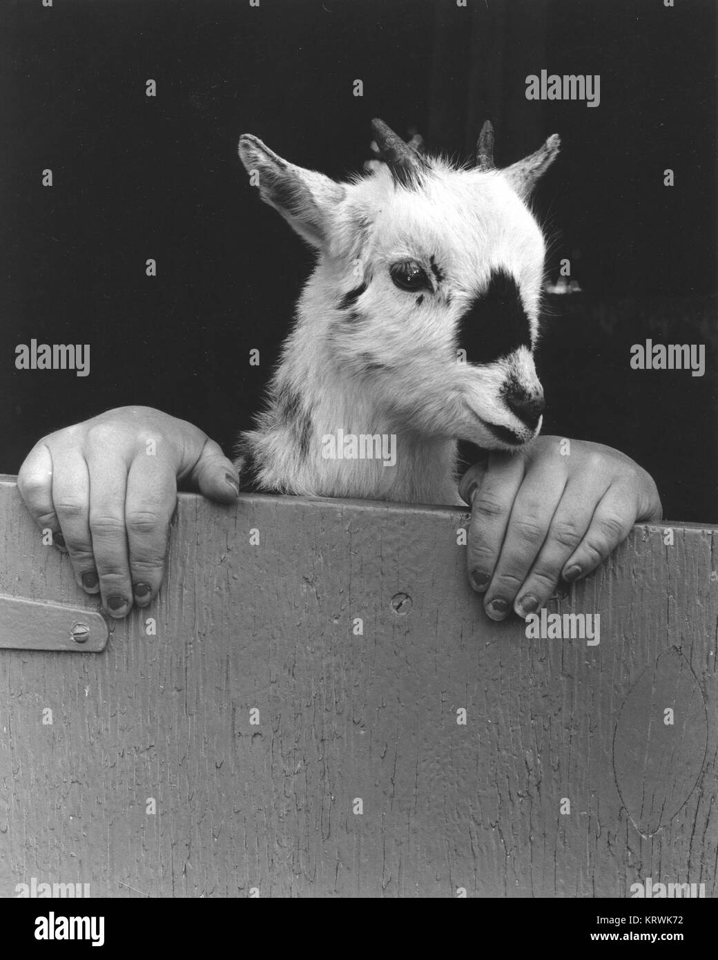 Human hands Black and White Stock Photos & Images - Alamy