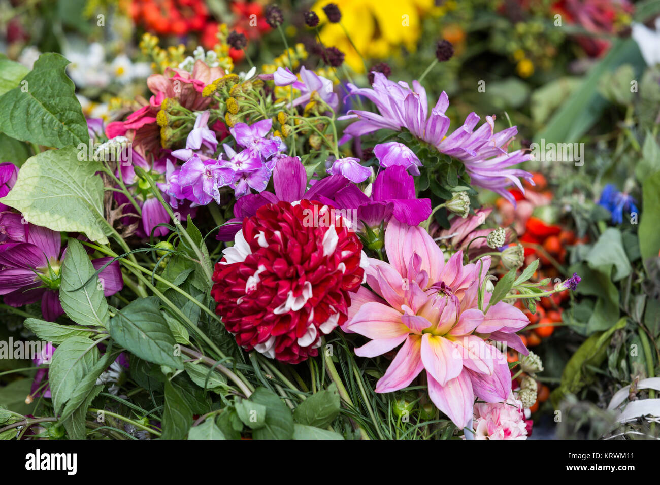 beautiful bouquets of flowers and herbs Stock Photo - Alamy