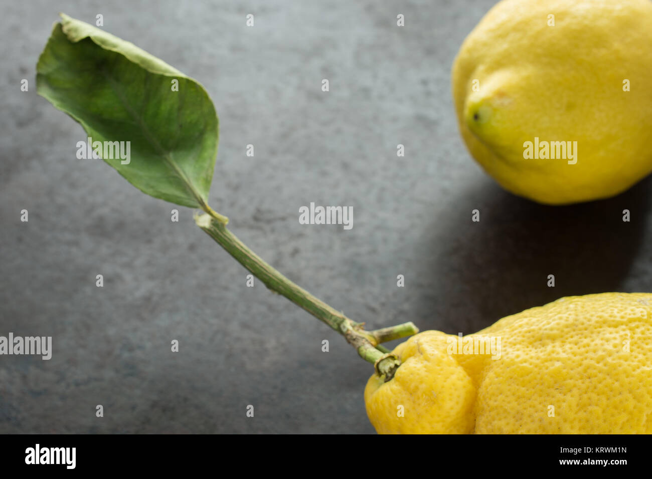 Nahaufnahme gelbe saure Zitrone mit grünem Blatt Stock Photo - Alamy