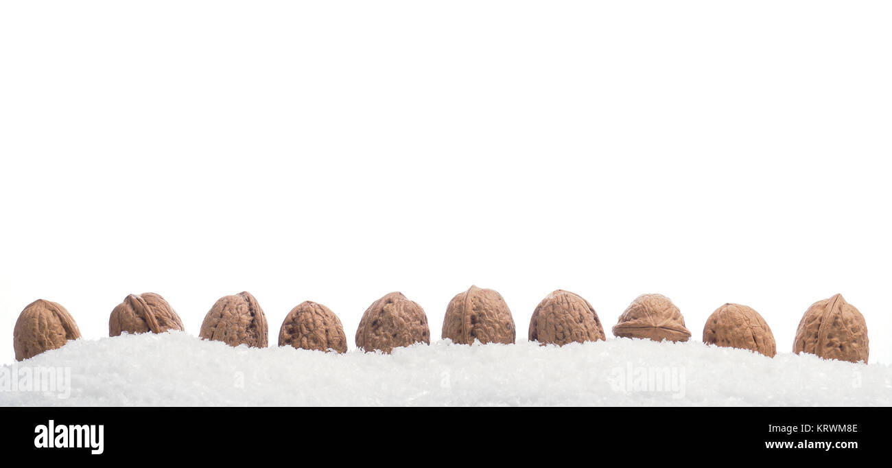 Delicious walnuts in snow on a white background Stock Photo - Alamy