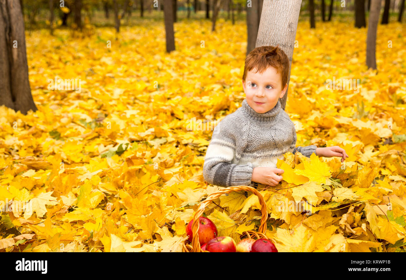 Autumn portrait of beautiful child. Happy little boy with leaves in the ...