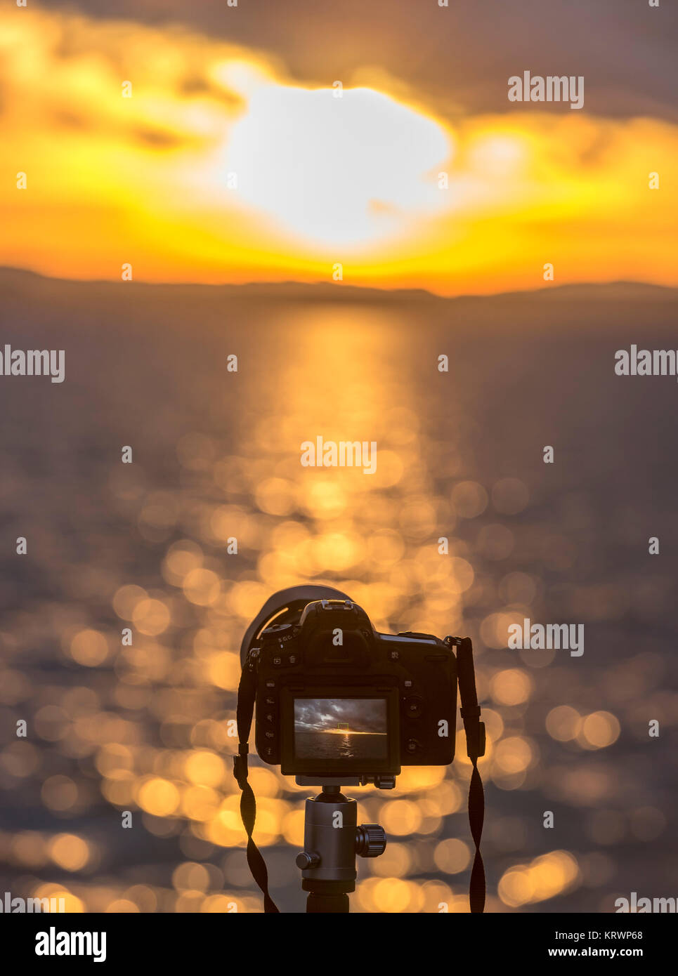 Modern DSLR camera on a tripod Stock Photo - Alamy