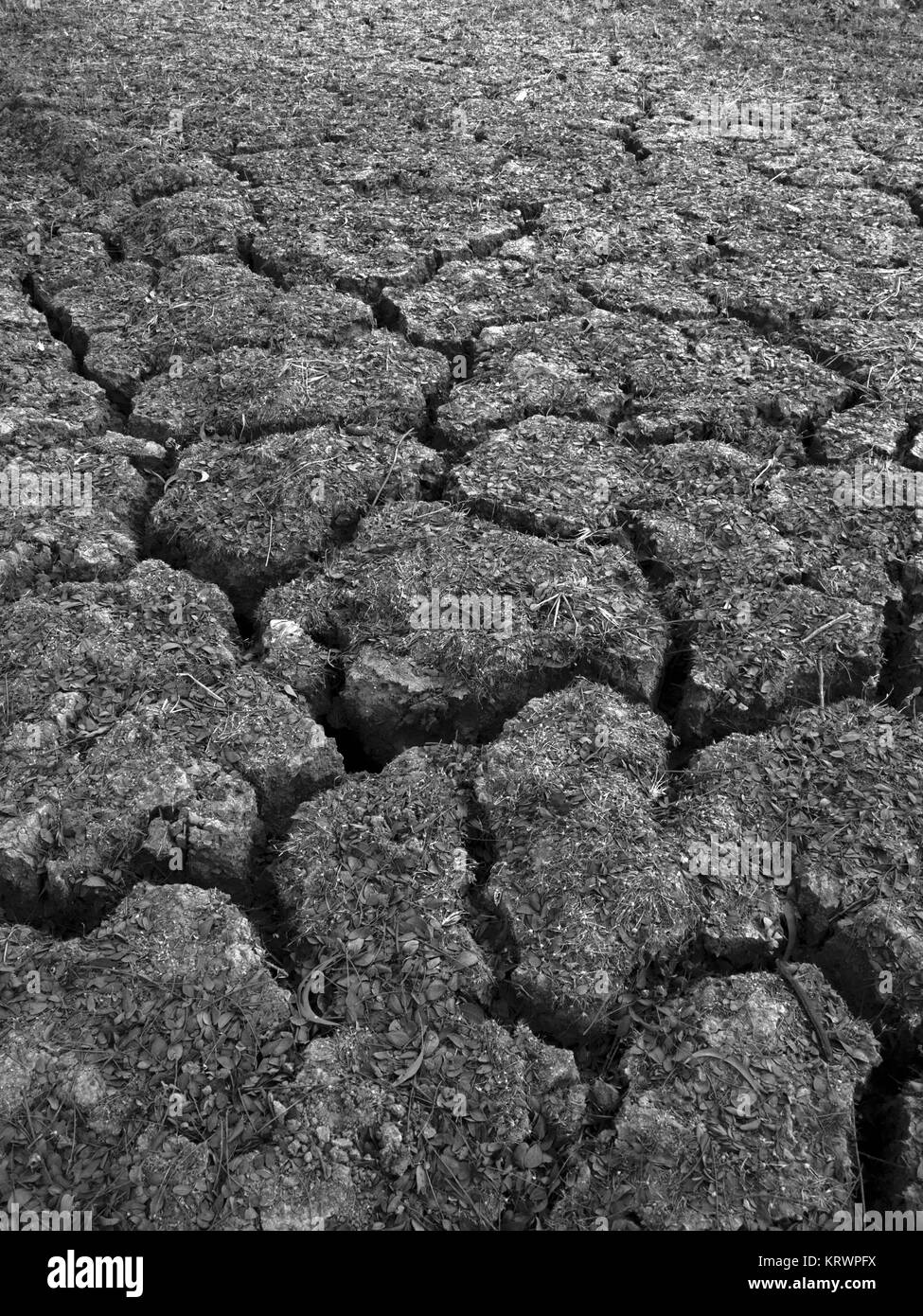 Cracking ground Black and White Stock Photos & Images - Alamy