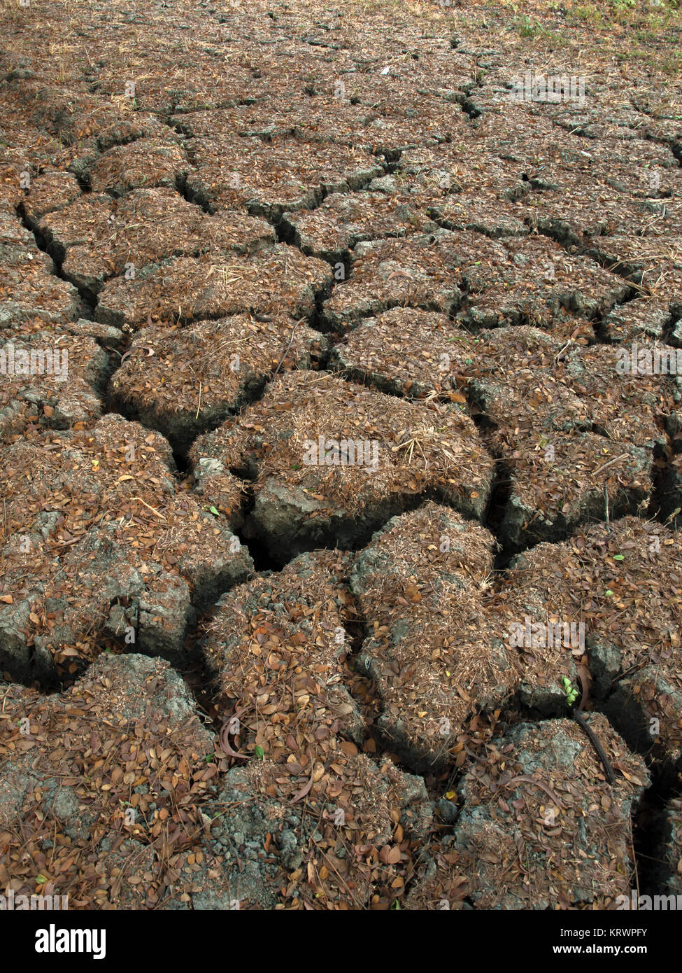 Cracking mud backdrop hi-res stock photography and images - Alamy