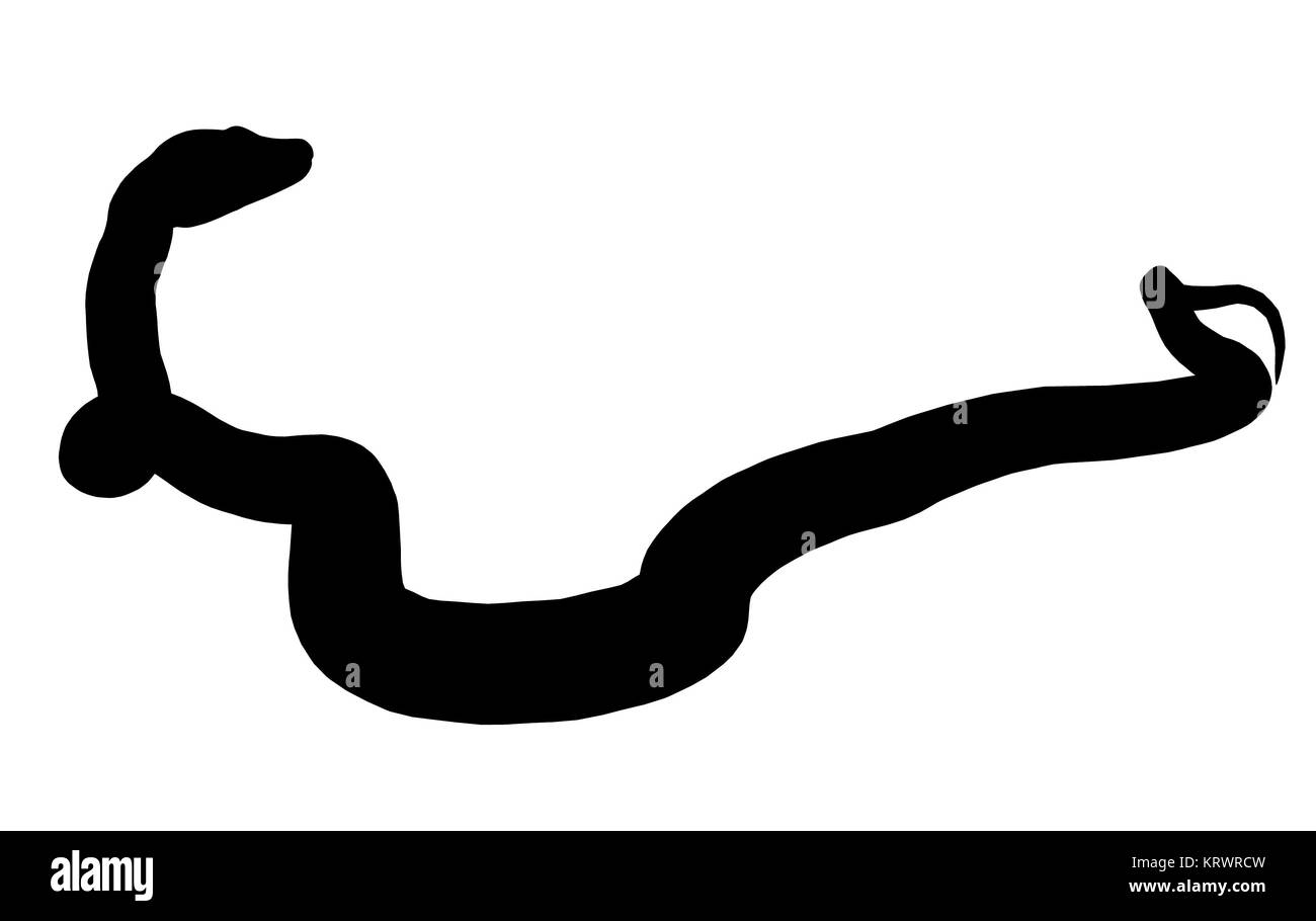 Black snake art illustration silhouette on a white background Stock ...