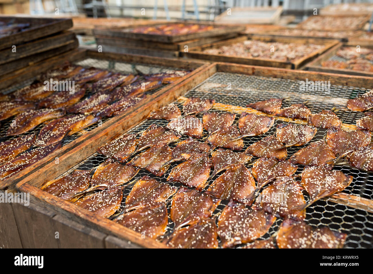 Japanese sesame dried fish hi-res stock photography and images - Alamy