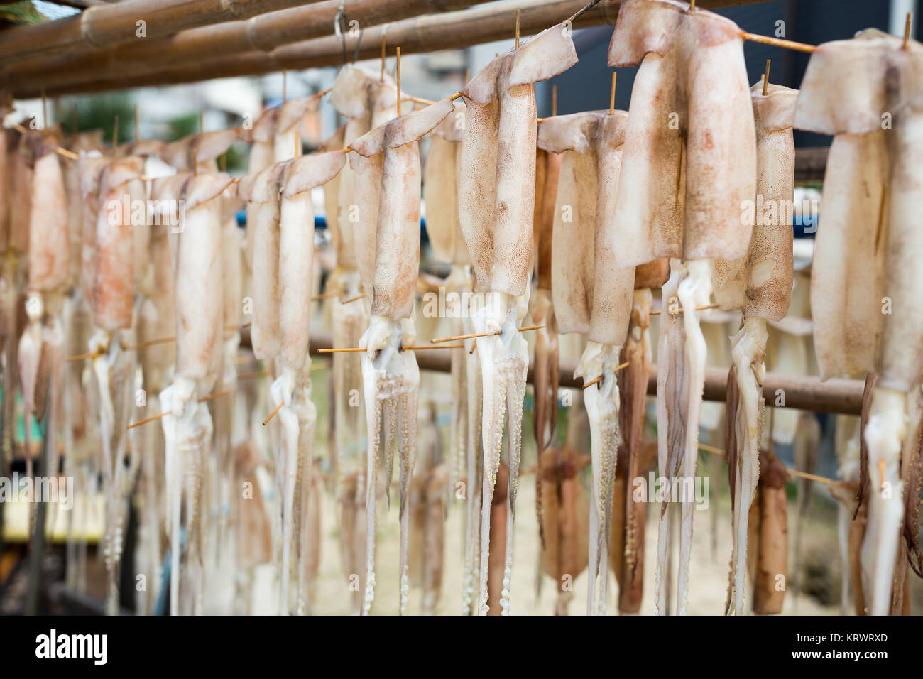 Dried squid hanging on the stand Stock Photo - Alamy