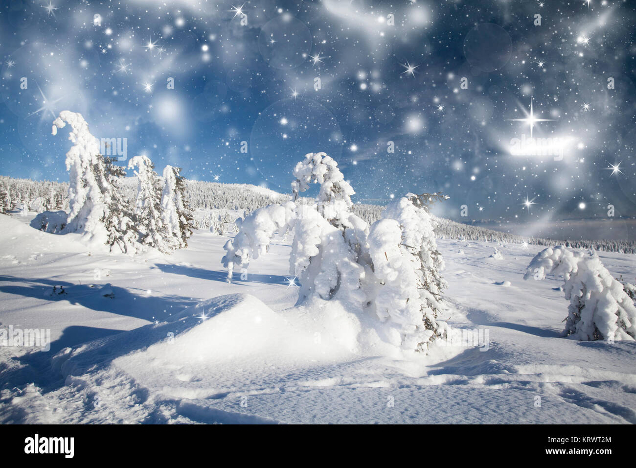Christmas background with snowy fir trees Stock Photo - Alamy