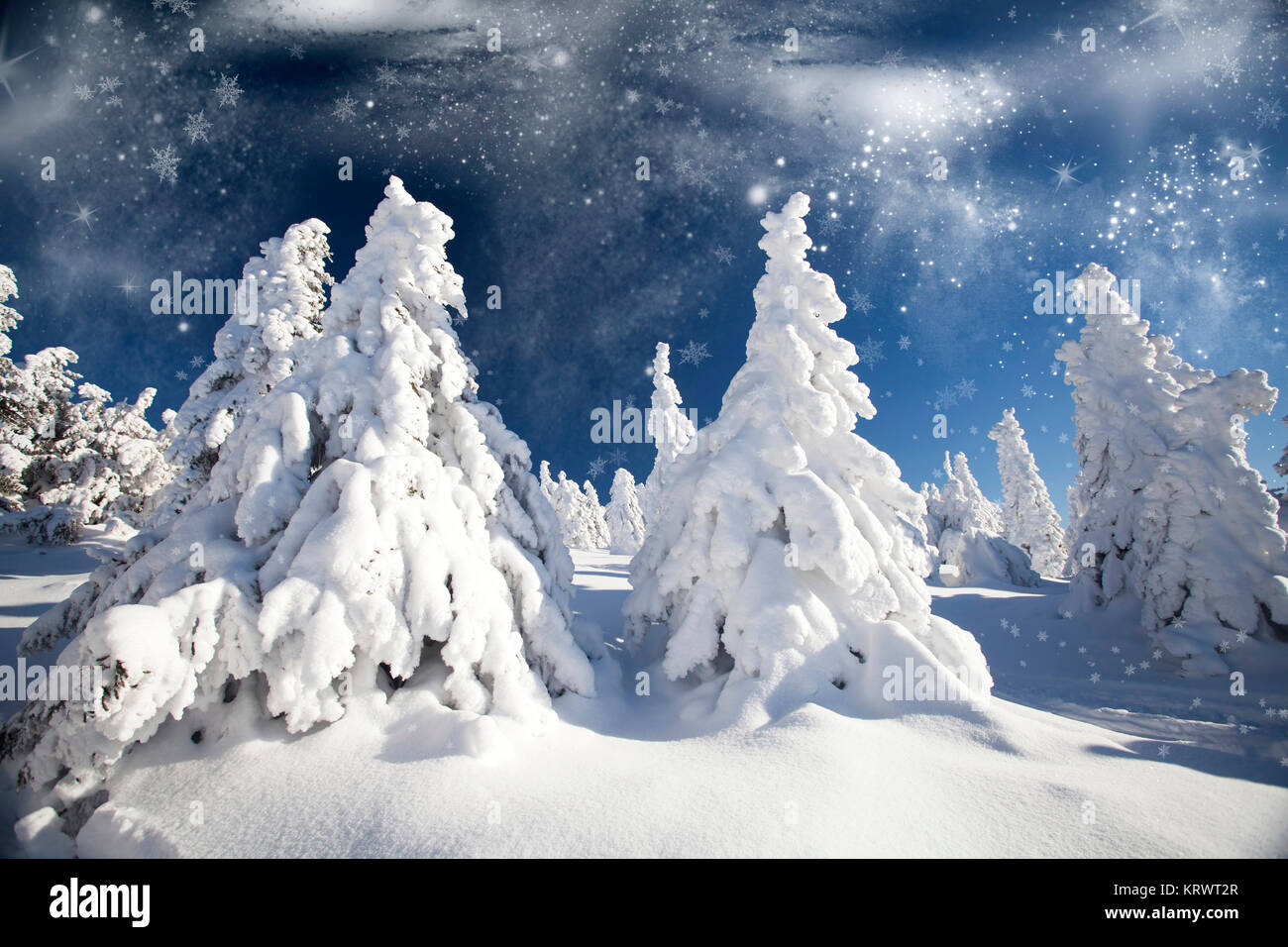 Christmas background with snowy fir trees Stock Photo - Alamy