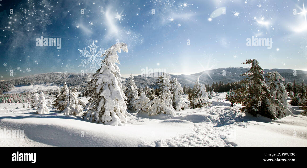 Christmas background with snowy fir trees Stock Photo - Alamy