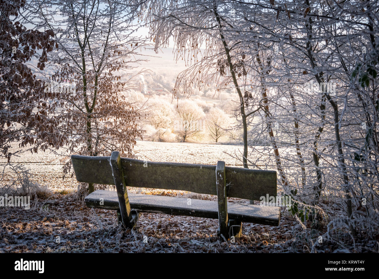 bench in the winter Stock Photo - Alamy