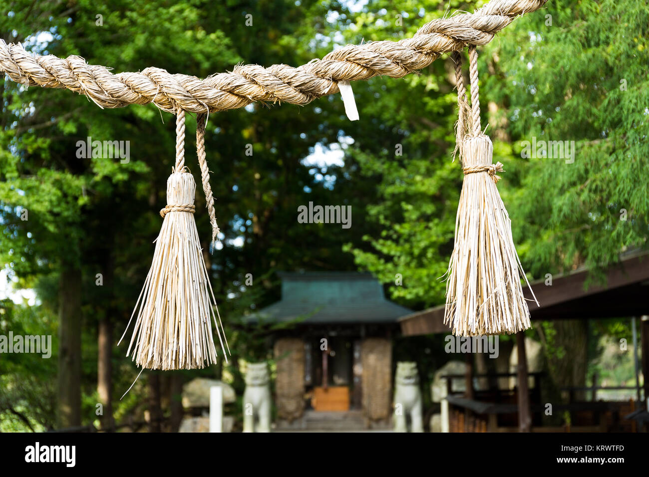 Japanese rice straw rope hi-res stock photography and images - Alamy