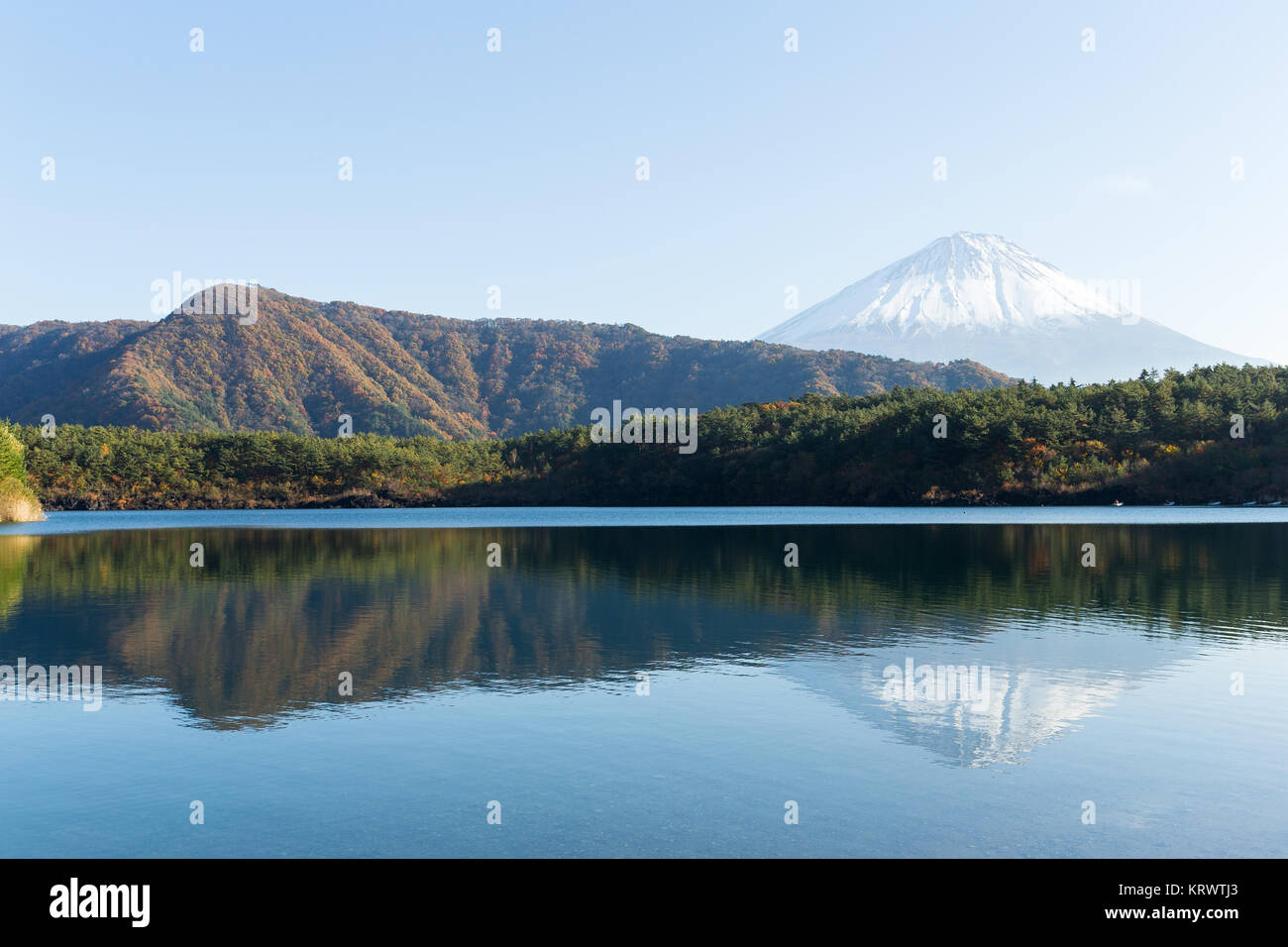 Saiko Lake and mountain Fuji Stock Photo - Alamy