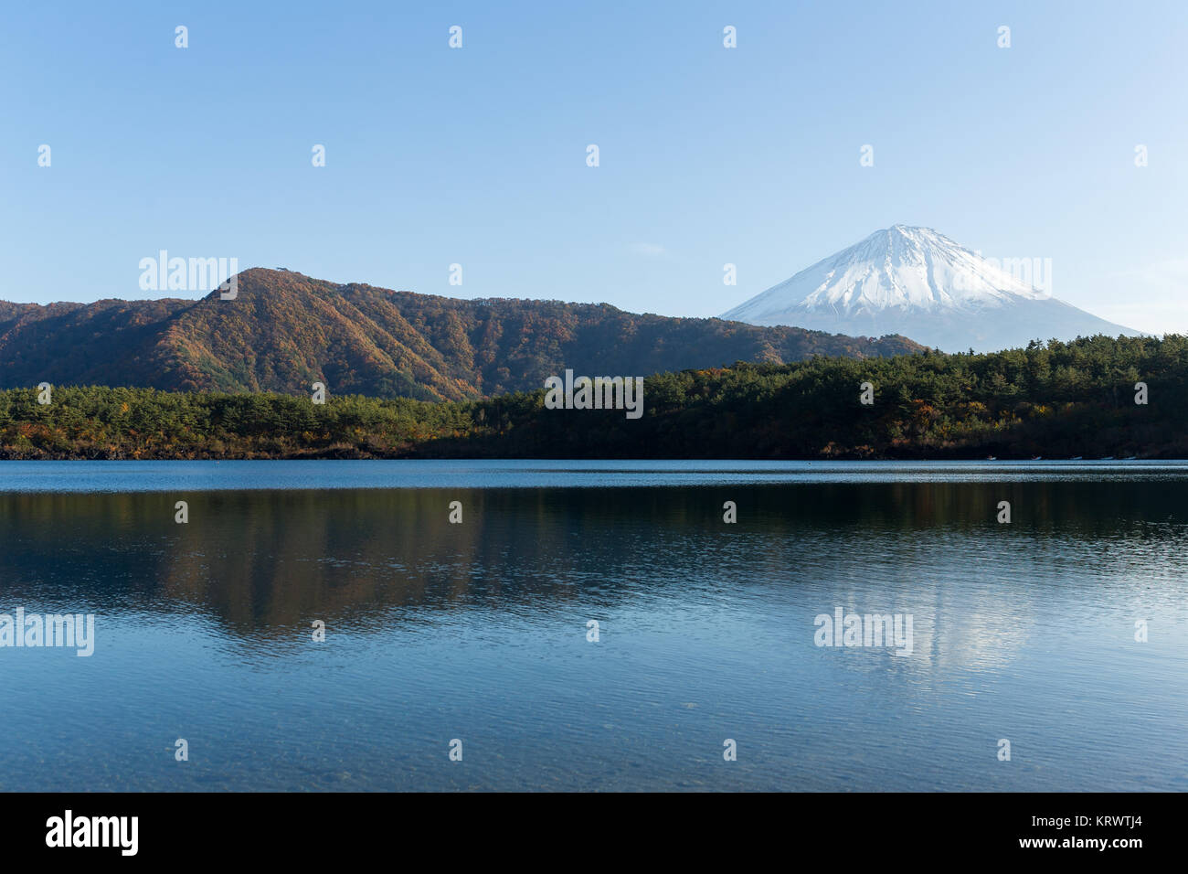 Mount Fuji and Saiko Lake Stock Photo - Alamy