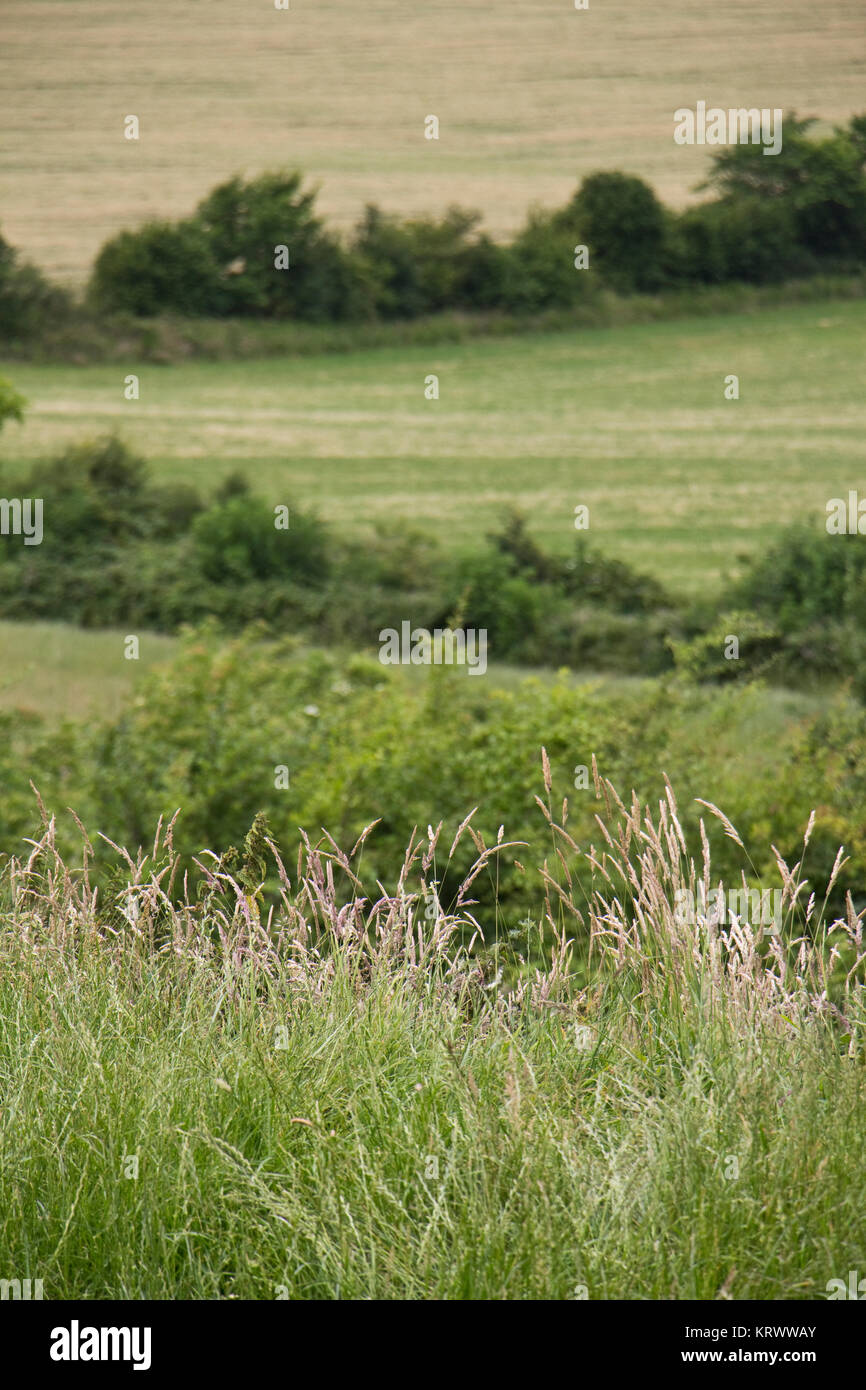 Gloucestershire landscapes hi-res stock photography and images - Alamy