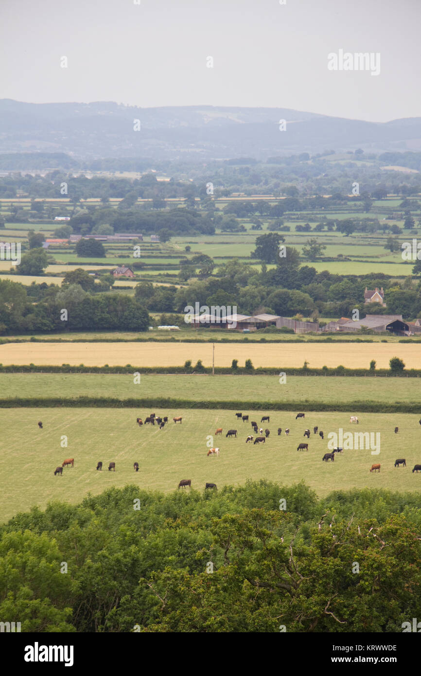Landscape near Frocester Hill, Near Stroud, Gloucestershire, England ...