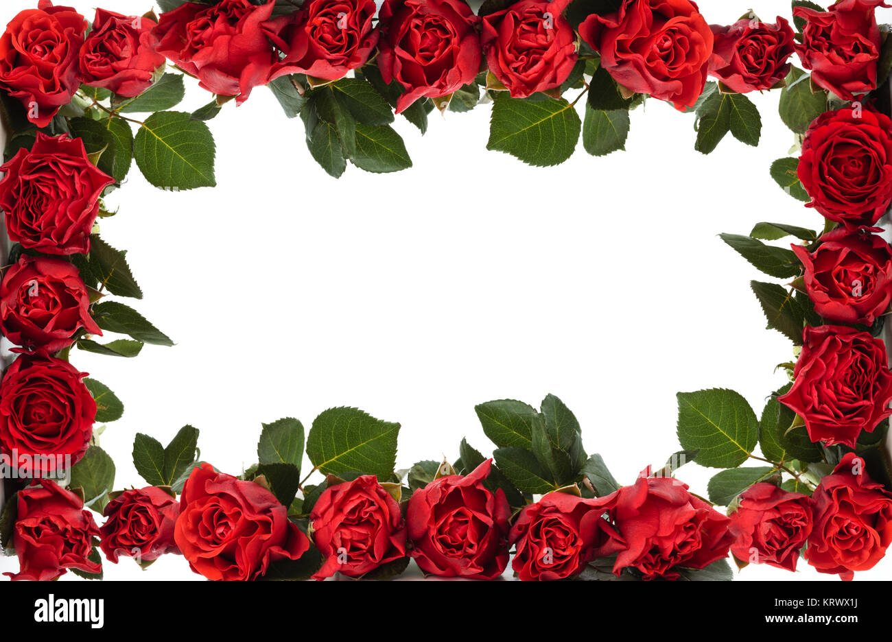 Red roses frame Stock Photo - Alamy