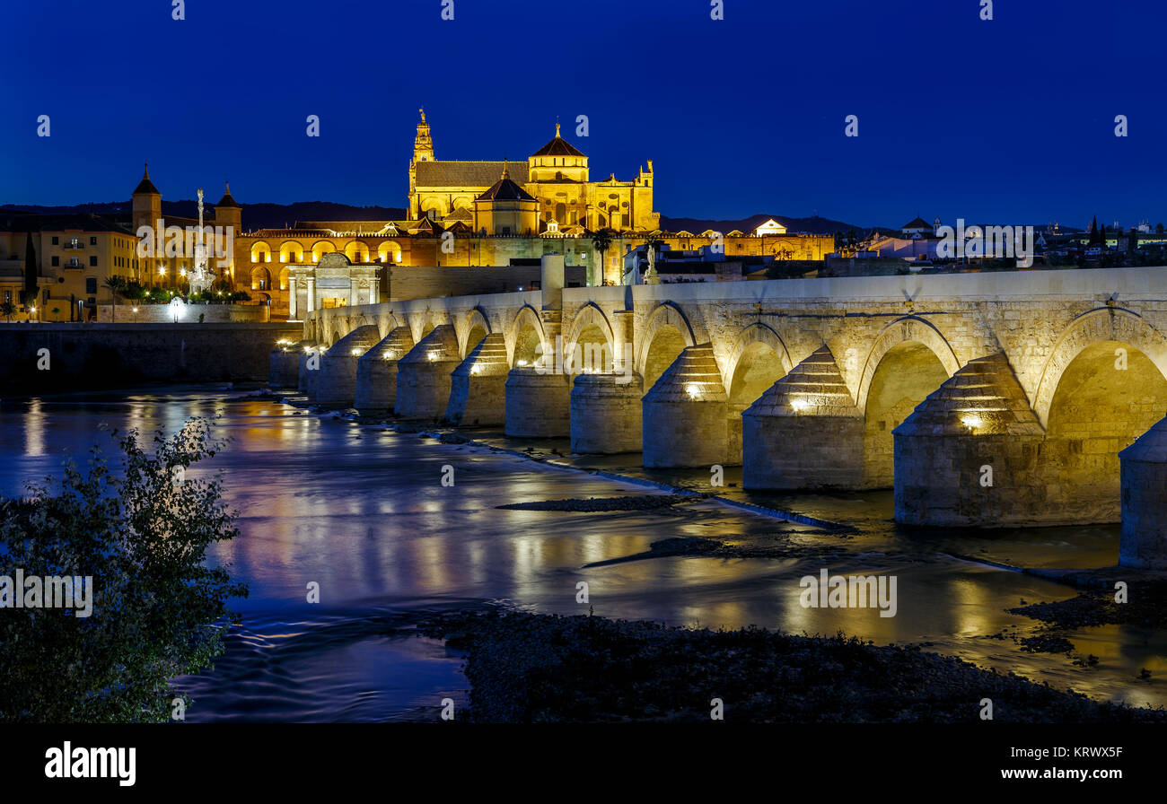 old roman bridge and tower Calahora at night, Cordoba Stock Photo - Alamy