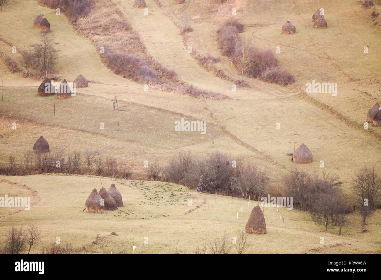 Haystack in Romania Stock Photo - Alamy