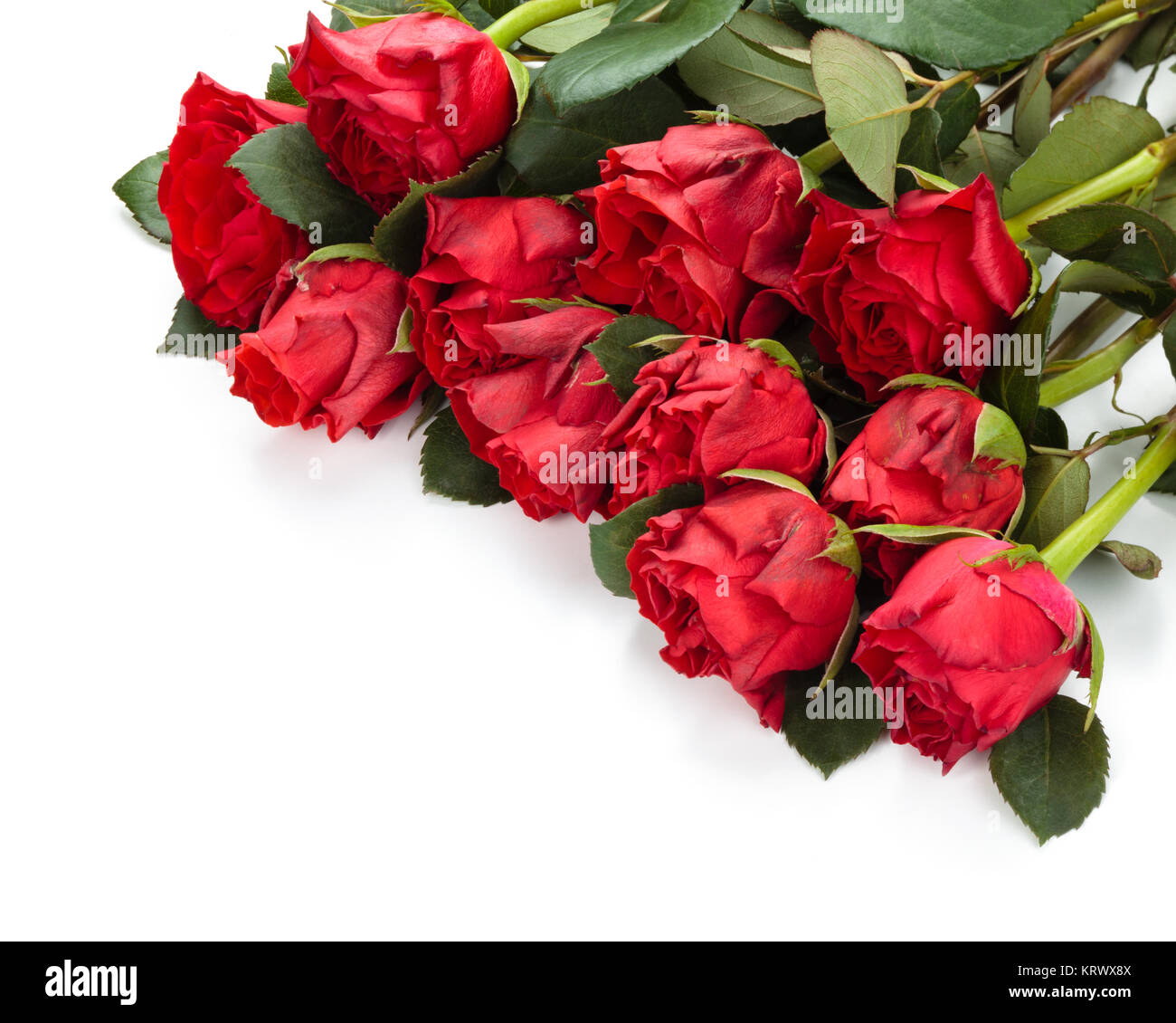 Red roses frame Stock Photo - Alamy