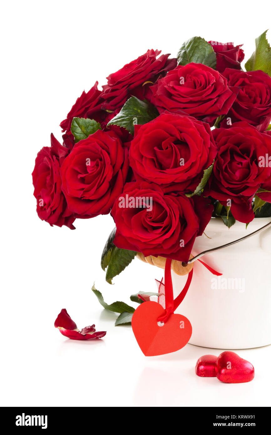 Red roses in bucket Stock Photo - Alamy