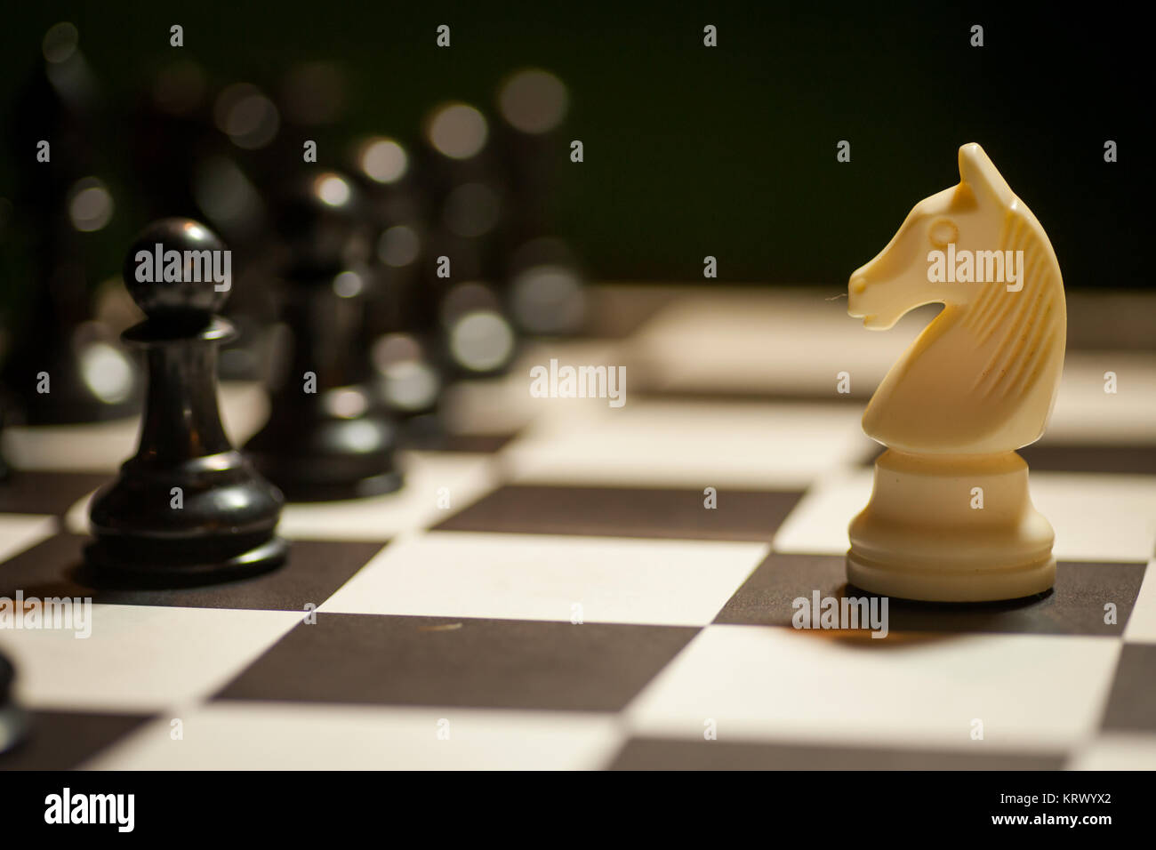 Chess white horse moving Stock Photo - Alamy