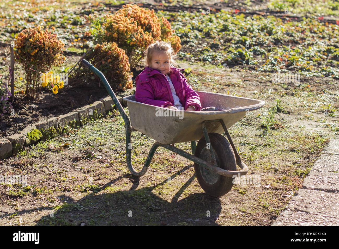 Happy little girl sitting in wheelbarrow Stock Photo - Alamy
