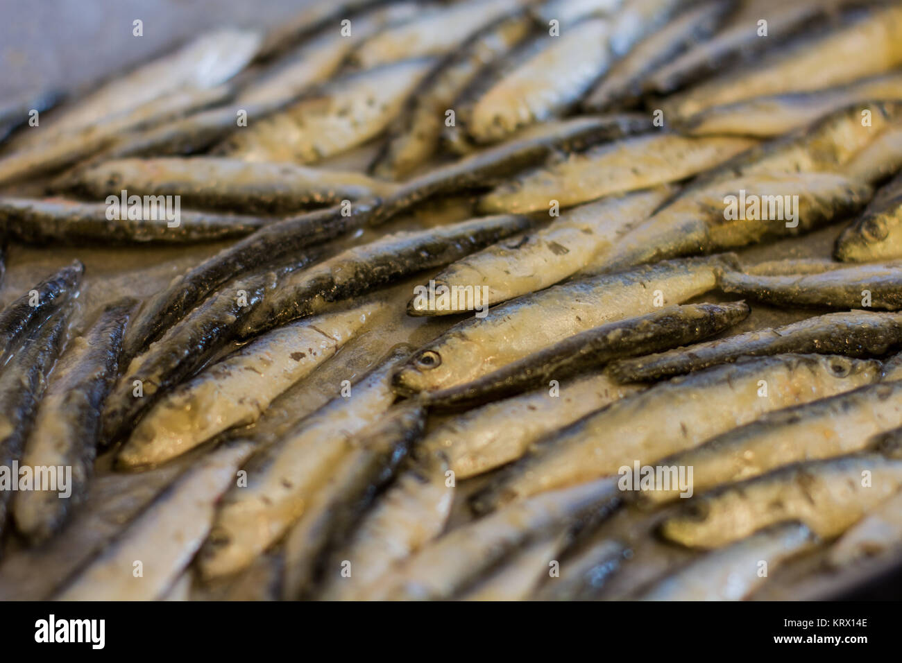 Fresh sardine seafood Stock Photo - Alamy