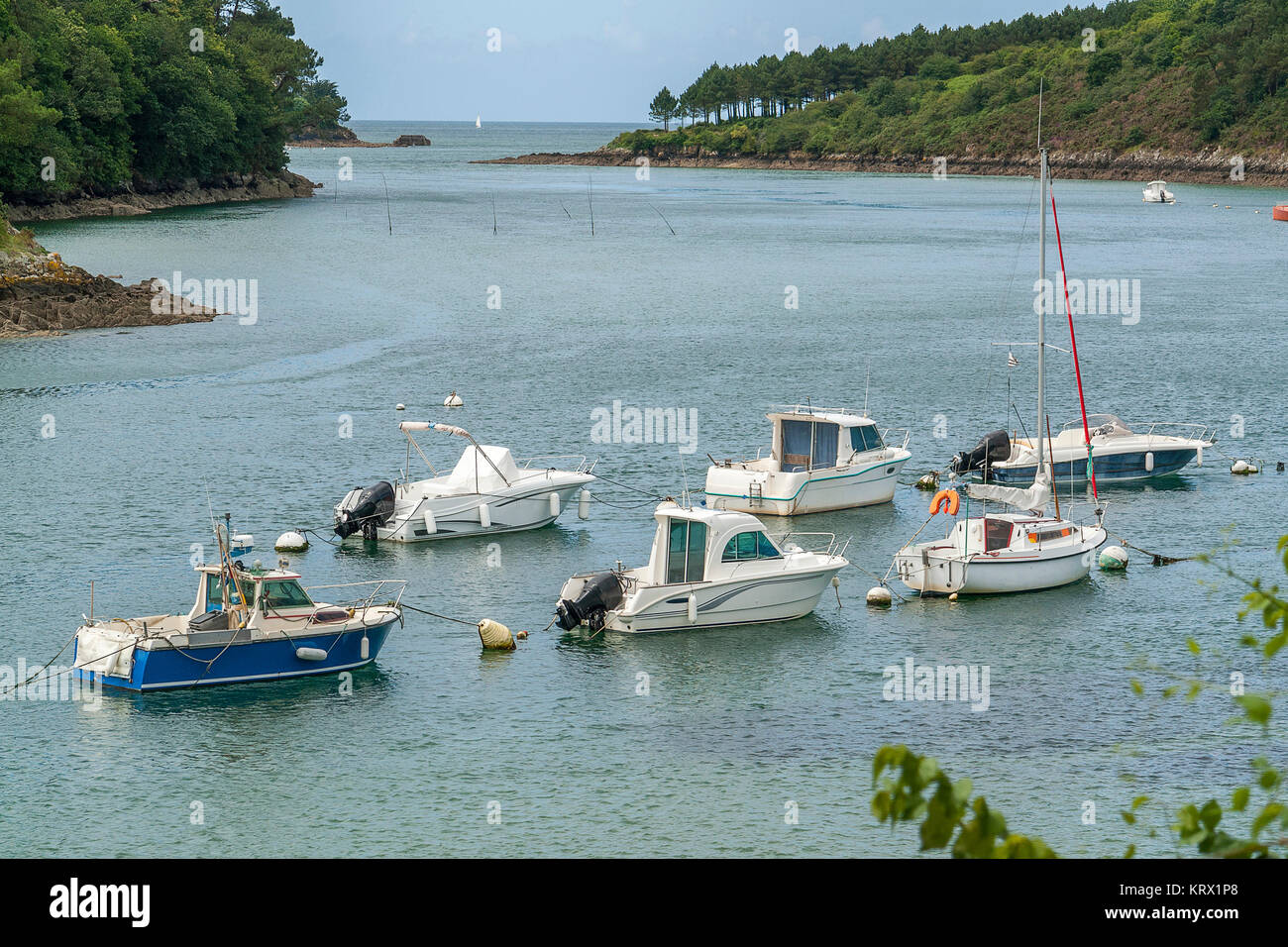 coastal scenery at the Belon River in Brittany, France Stock Photo - Alamy