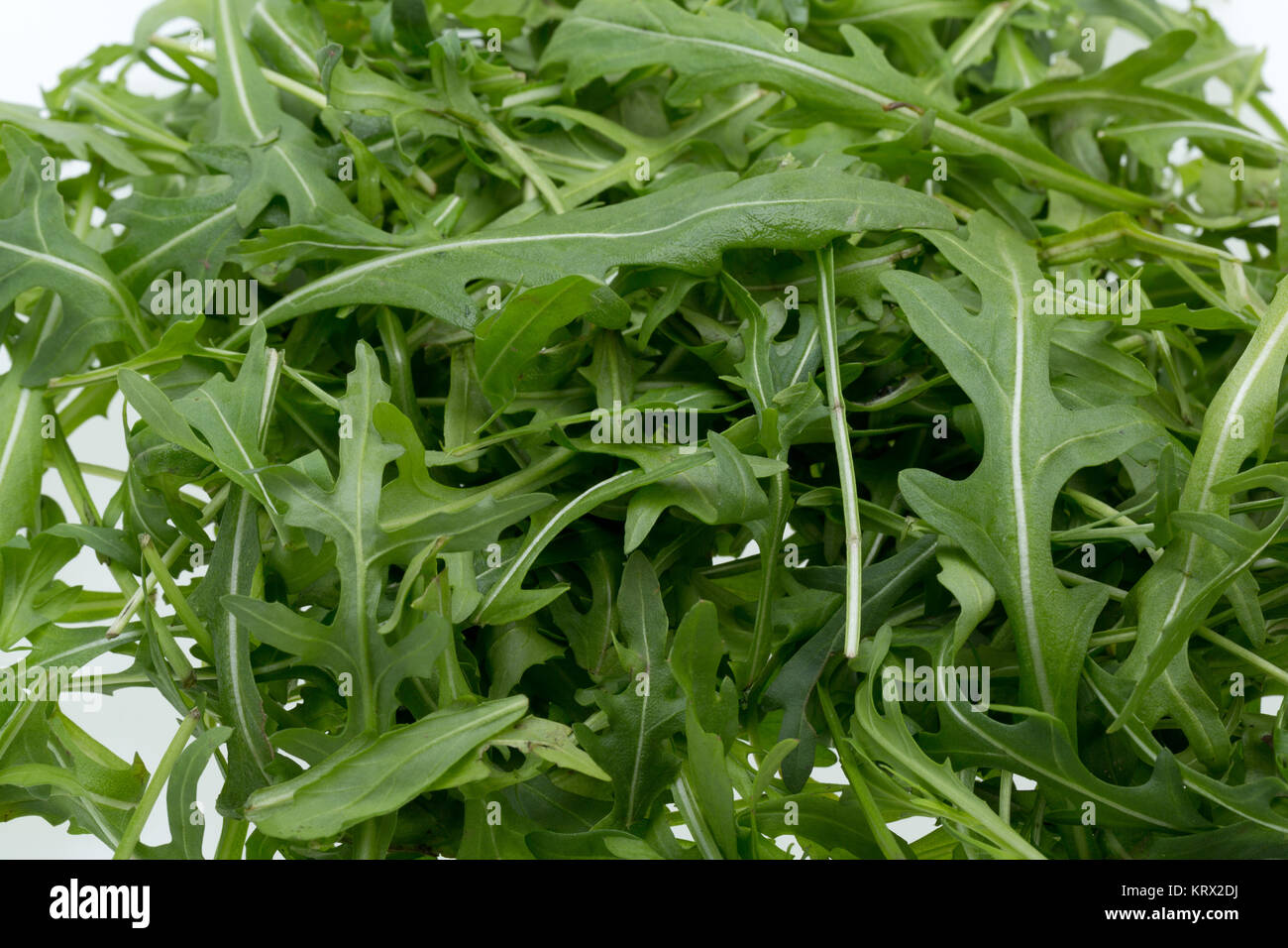 Food aliment detail leaves boil hi-res stock photography and images - Alamy