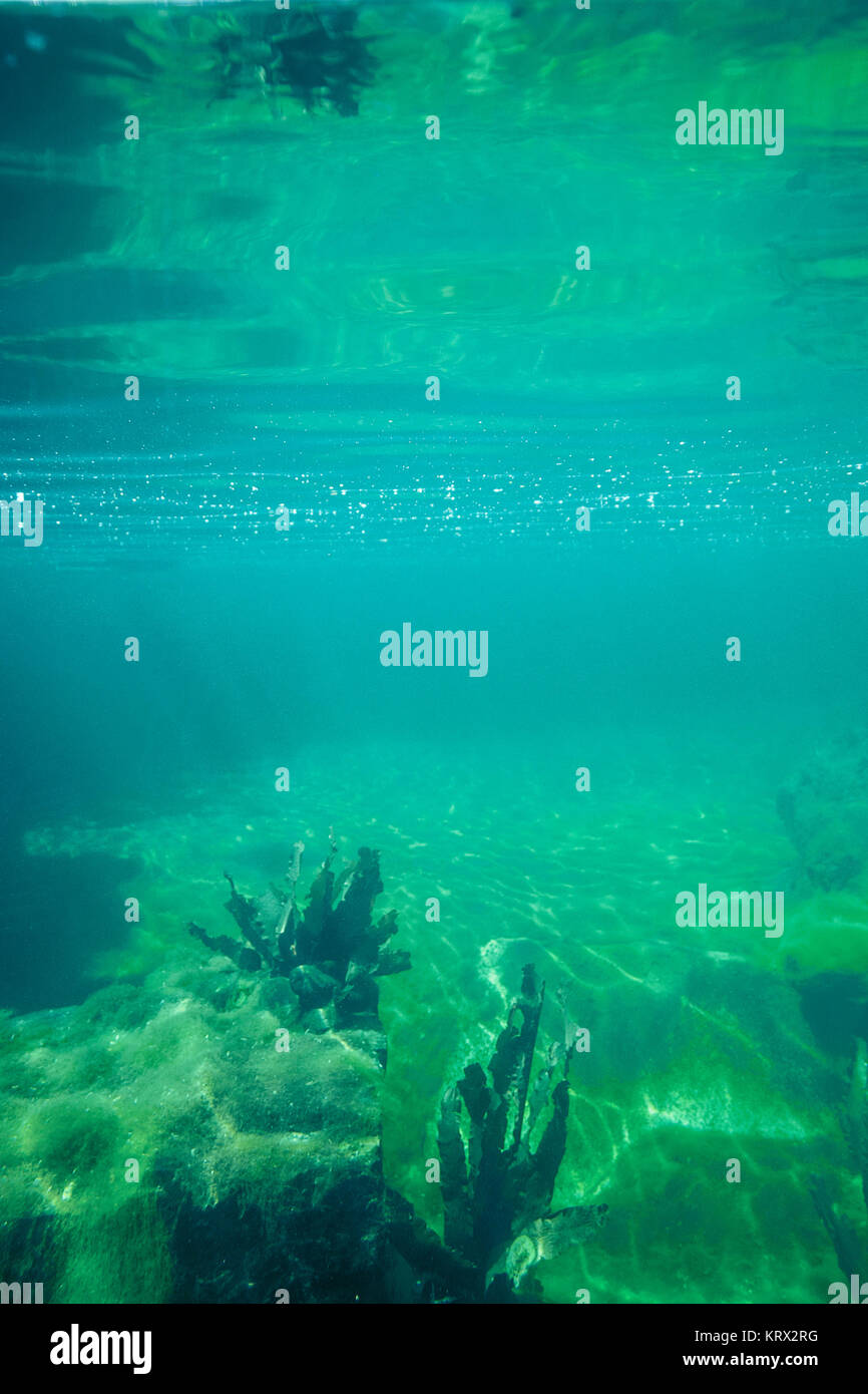 Underwater scenery hi-res stock photography and images - Alamy