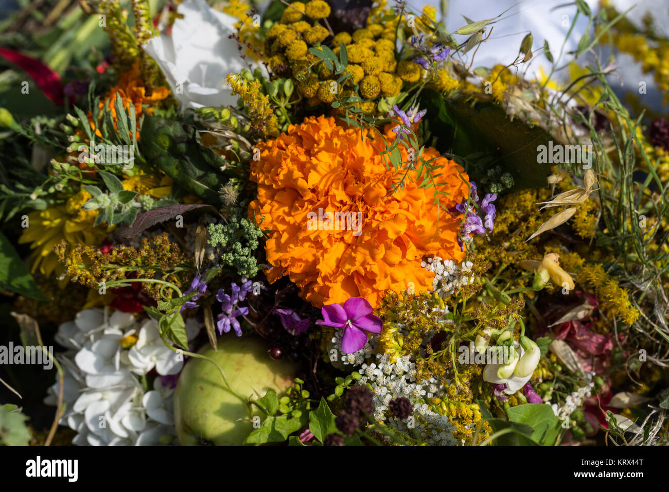 beautiful bouquets of flowers and herbs Stock Photo - Alamy