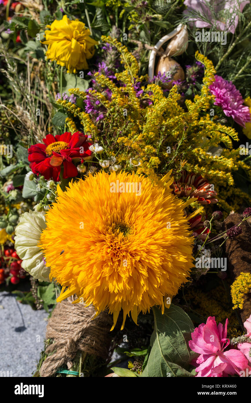 beautiful bouquets of flowers and herbs Stock Photo - Alamy