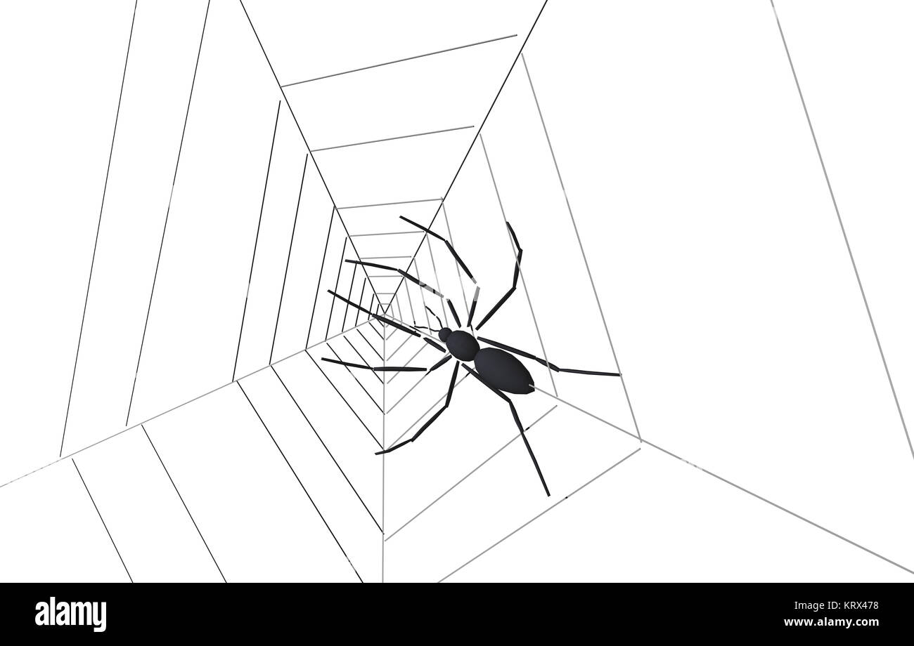 spider web with spider isolated Stock Photo - Alamy