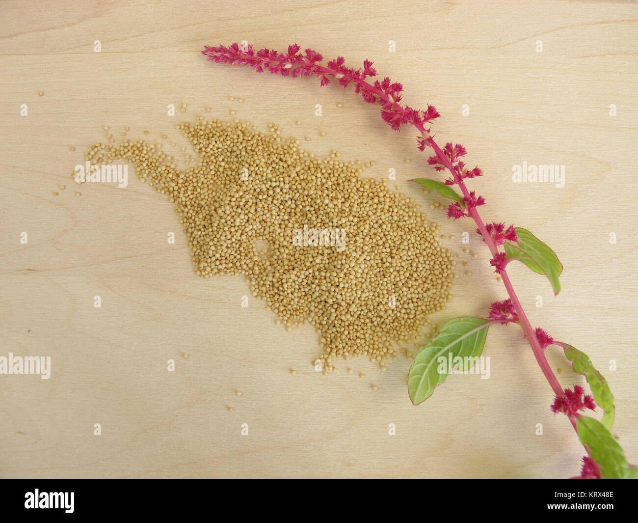 amaranth grains on a wooden board Stock Photo - Alamy
