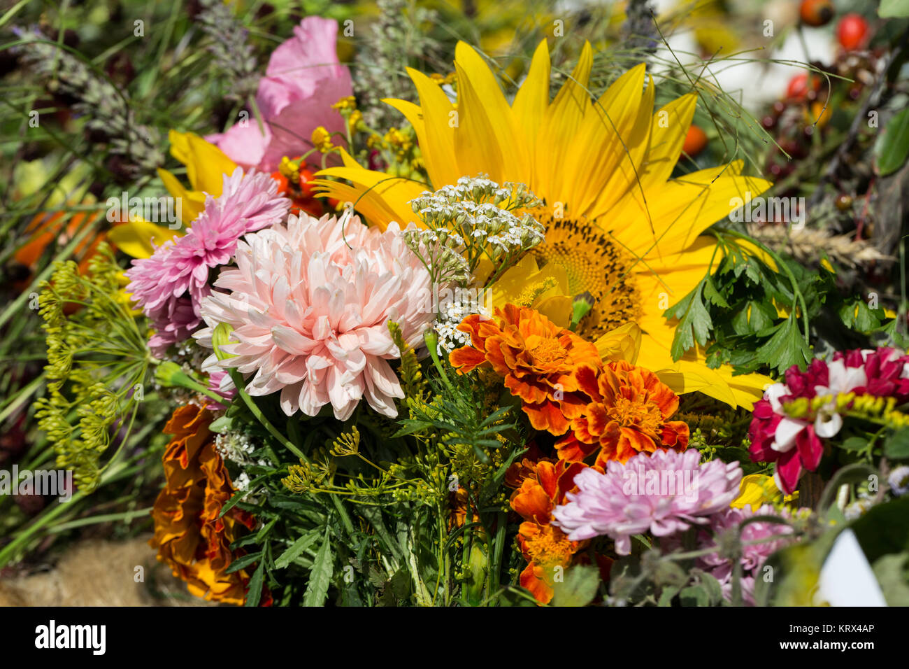 beautiful bouquets of flowers and herbs Stock Photo - Alamy